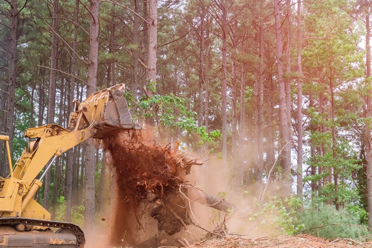 LAND CLEARING, MULCHING & GRUBBING | DURUM SERVICES INC.